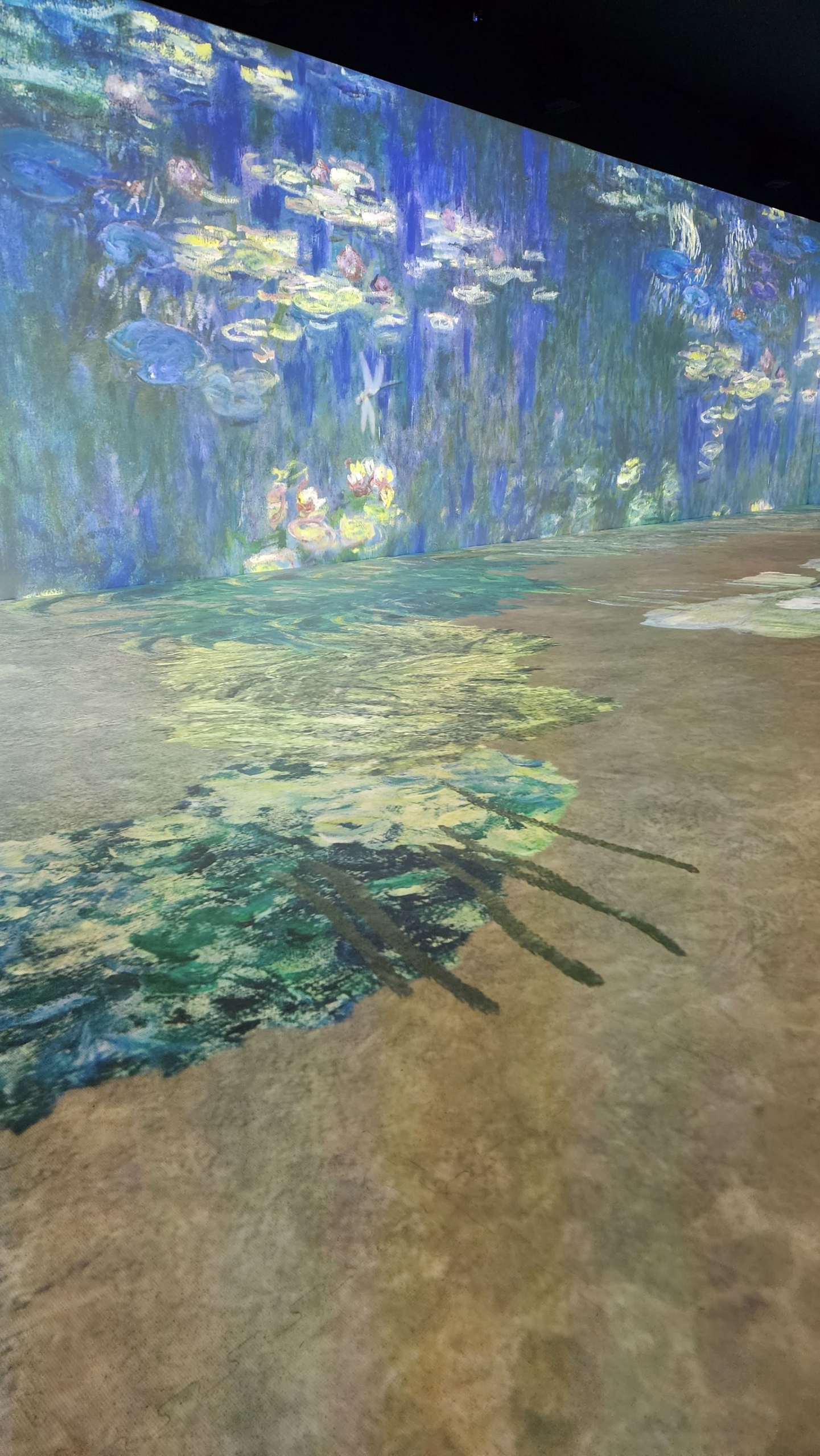 Seeking the Arts ~ The Claude Monet Exhibit - A Home for Elegance